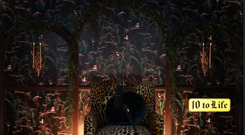 Shows – Annie Elise